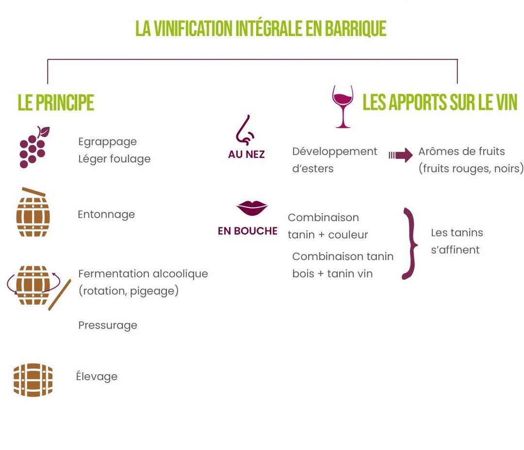 La vinification intégrale - Chateau Picon